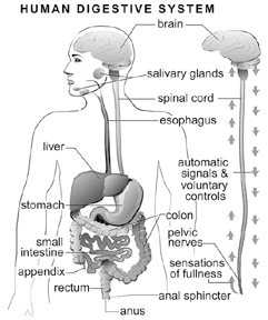 Index of /images